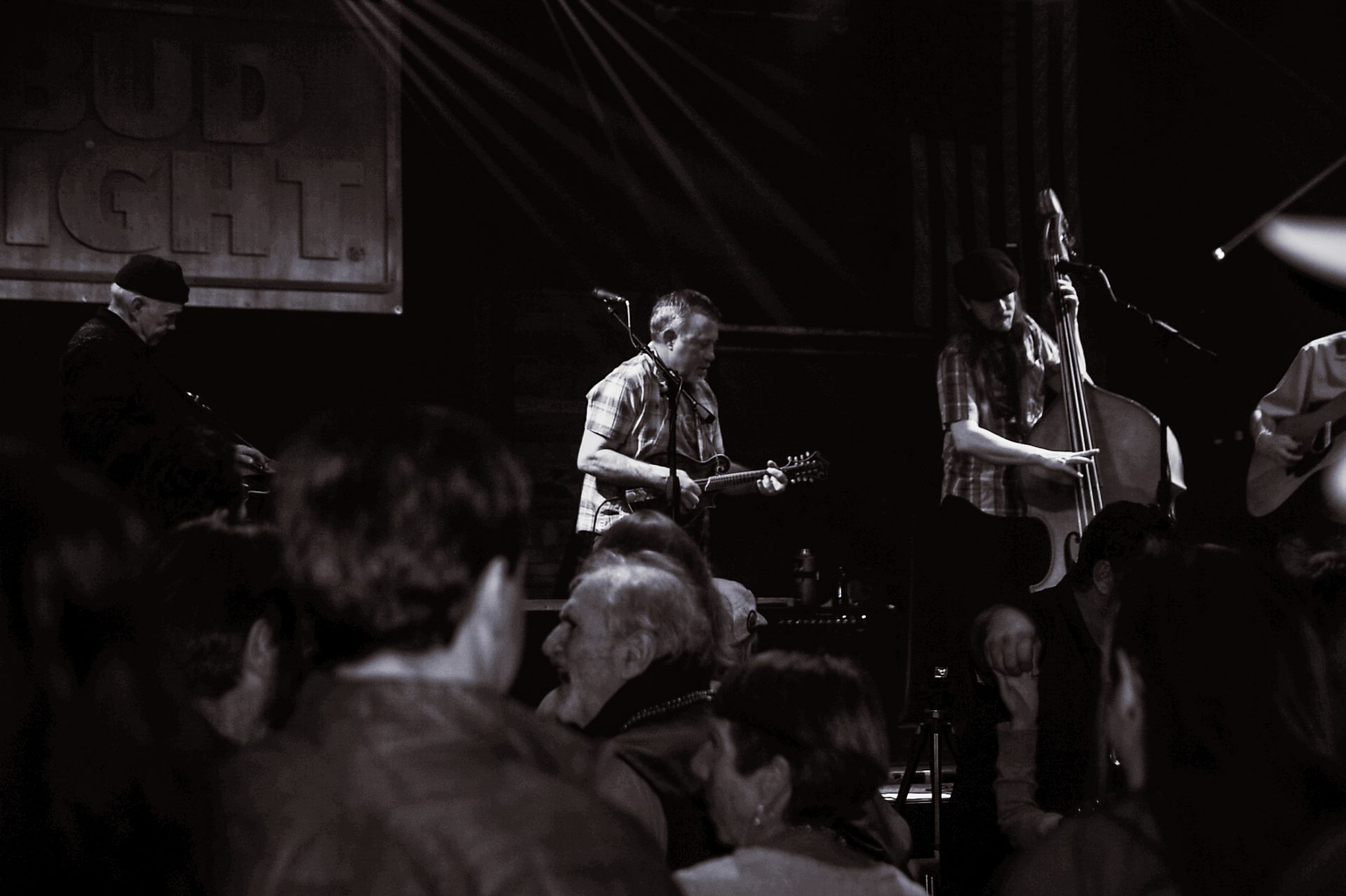 Stray Grass – Colorado Bluegrass